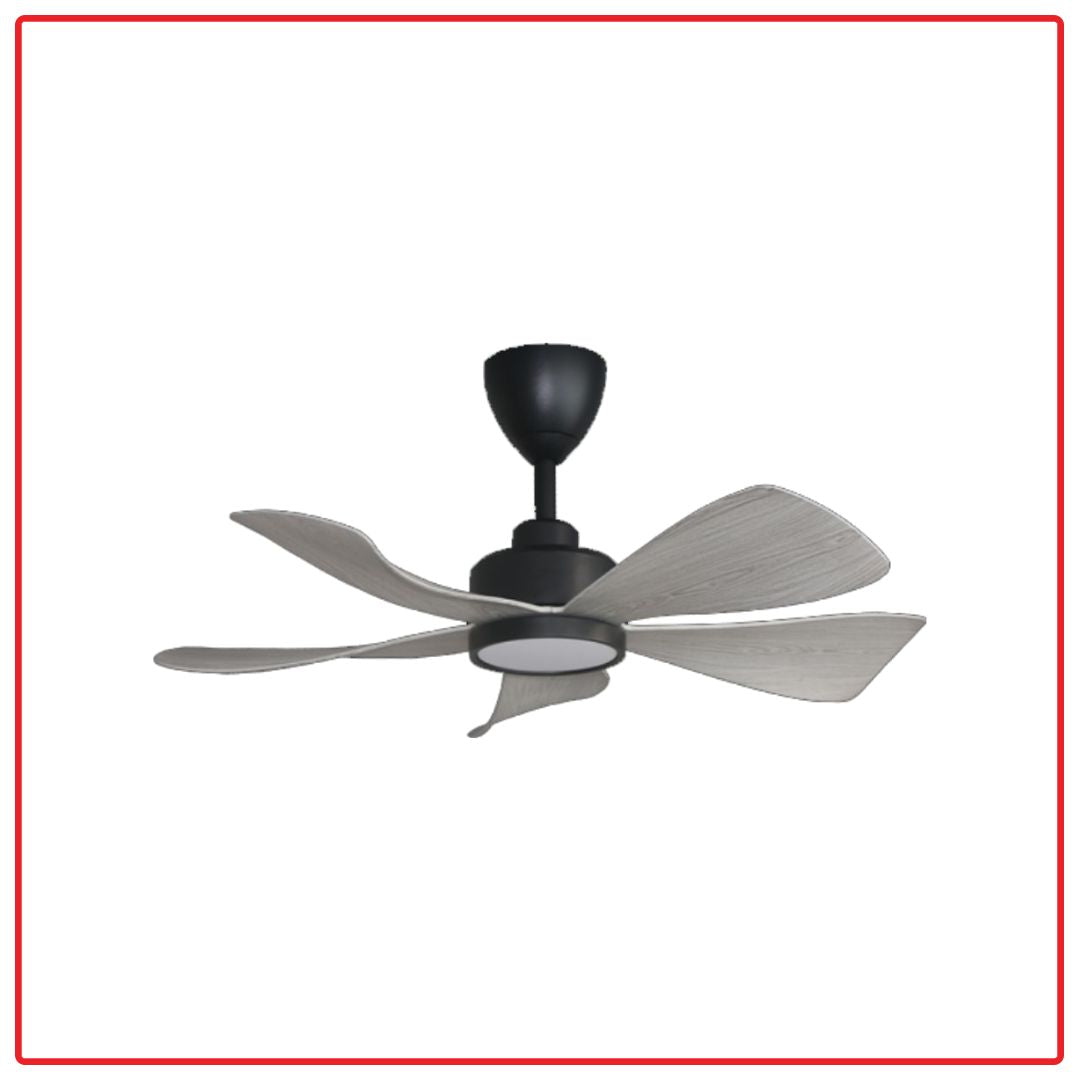 Alpha HANI-5B/36 LED 36 Inch DC Motor Ceiling Fan with LED Lighting ...