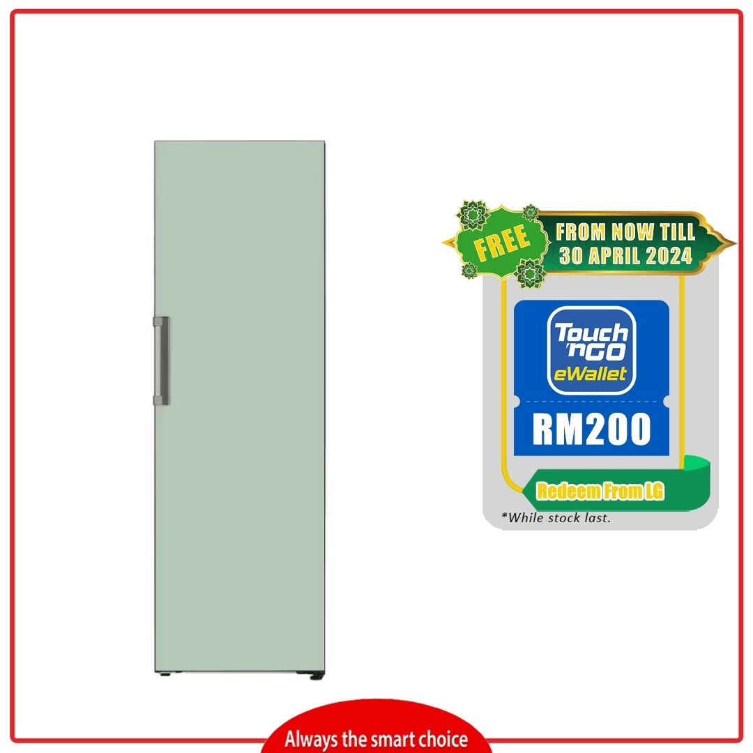 LG GC-B411FGPF 384L Single Door Fridge in Mint Finish | ESH Online ...